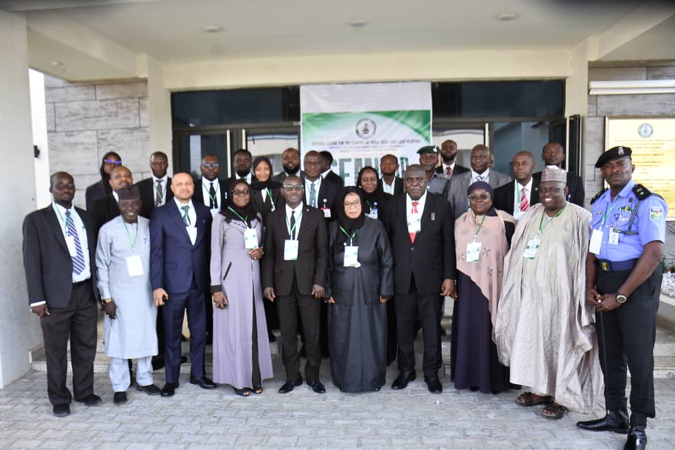 Security experts raise concerns over small arms proliferation ...