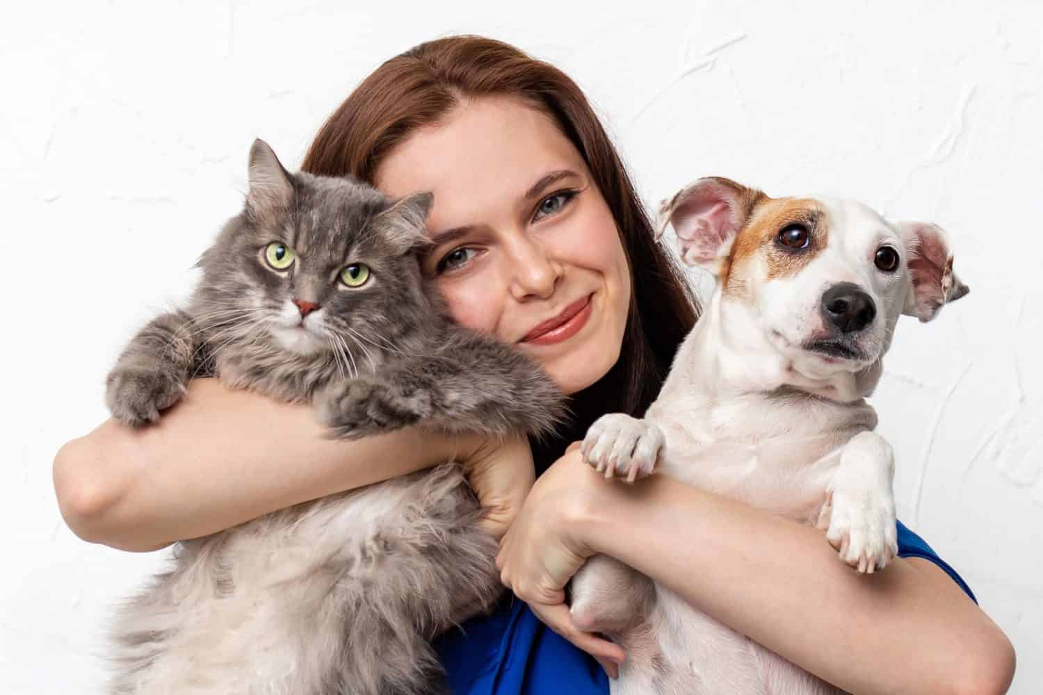 24 of the most common reasons people choose cats over dogs