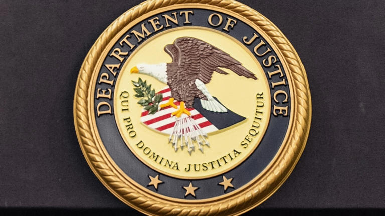 3 Chinese nationals charged with attempting to smuggle chips to China