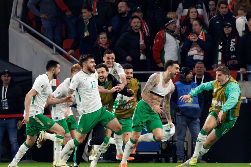 Ireland discover World Cup play-off opponents after Hungary heroics