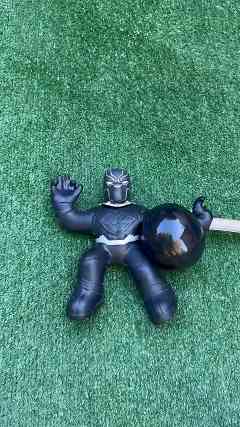 Black Panther Floods Garden With Epic Water Fun