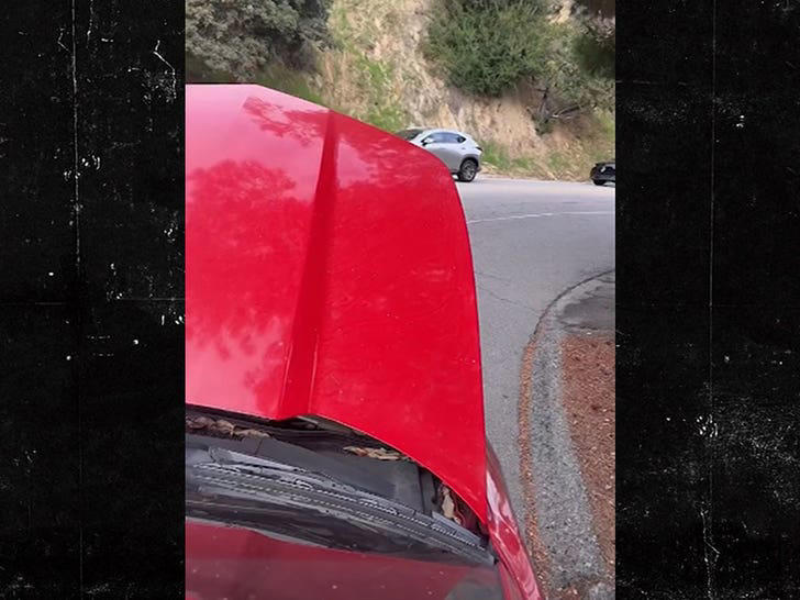 Justin Bieber Helps Stranded Driver on the Side of the Road