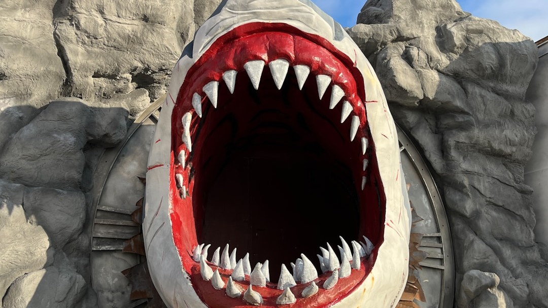 Fear of Boats and Open Water: Why the Ocean Feels So Unsafe for Some People