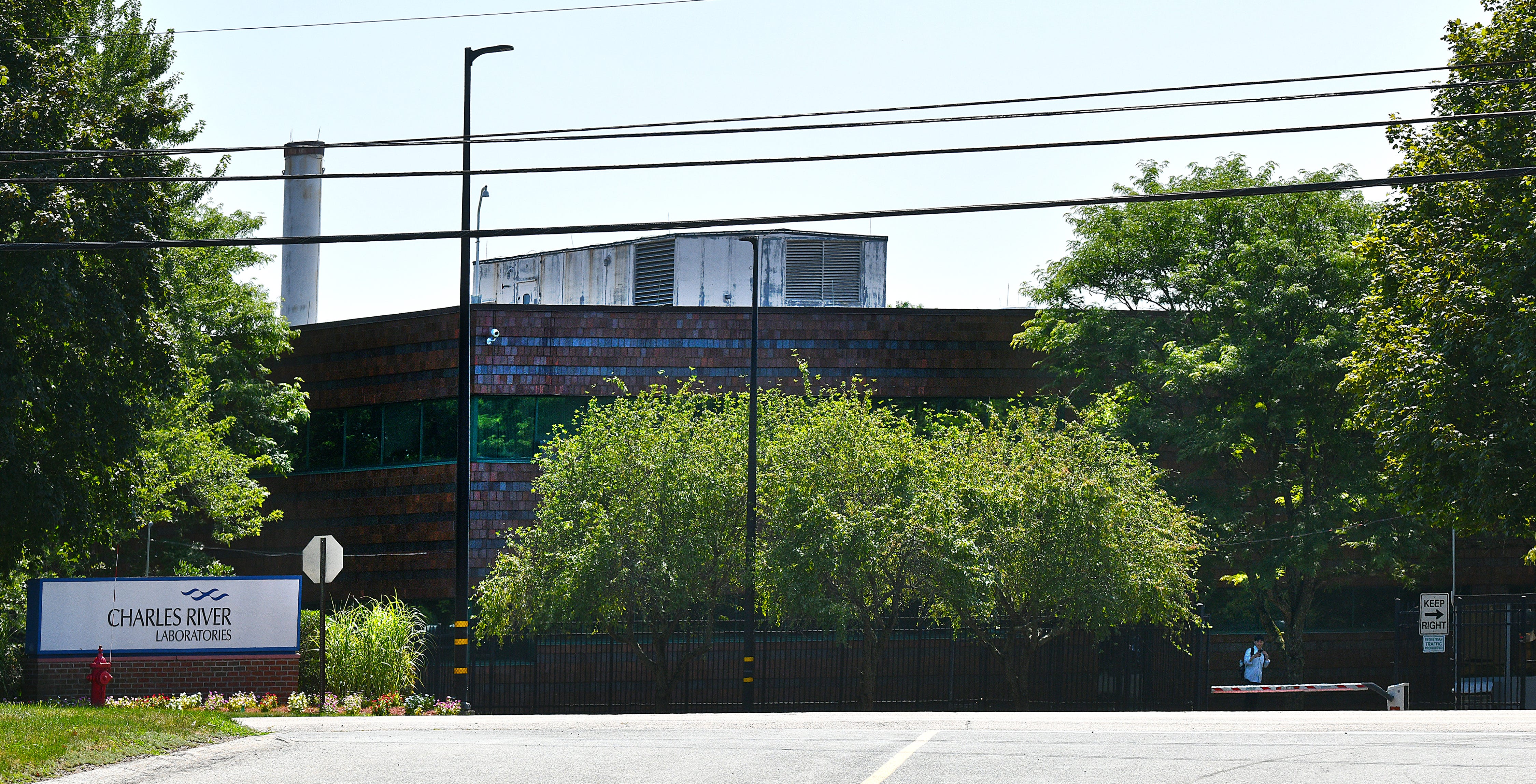 MA life sciences company Charles River Laboratories to lay off dozens ...
