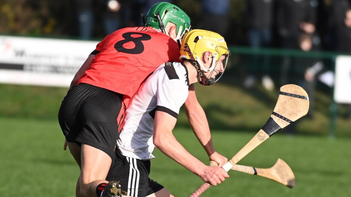Harty Cup: Read all eight match reports from the final round of the ...