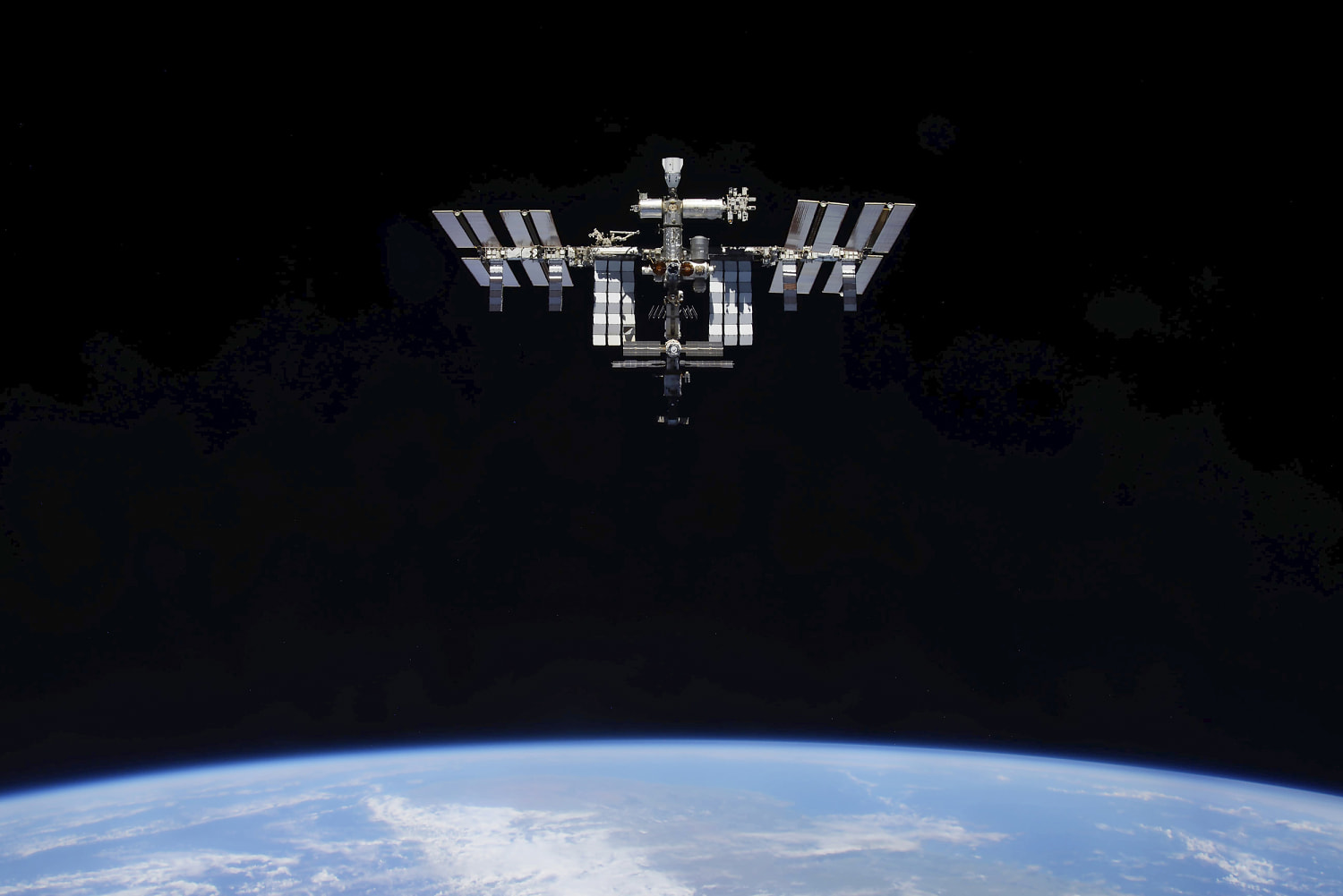 Moss survived in space for nine months, study finds