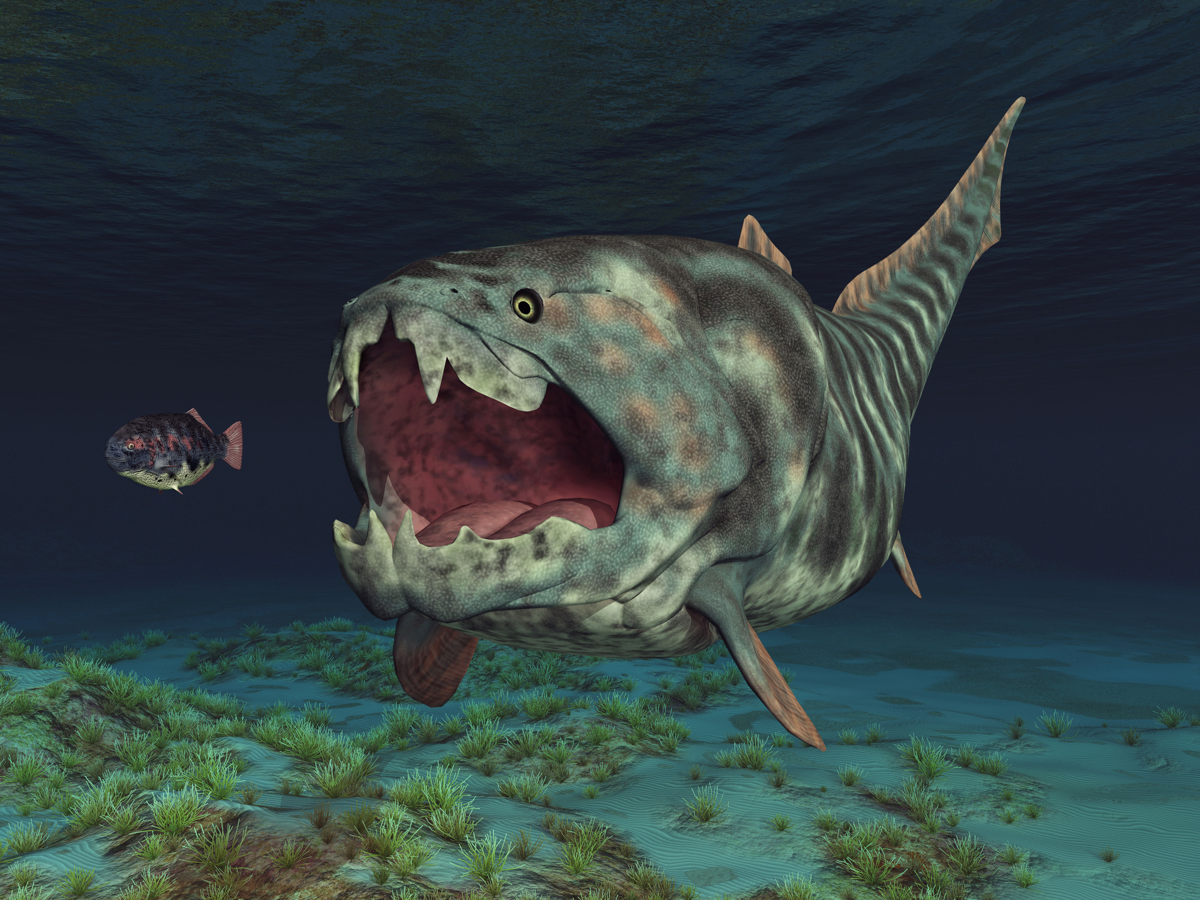 Cleveland’s famous sea monster just got a lot stranger