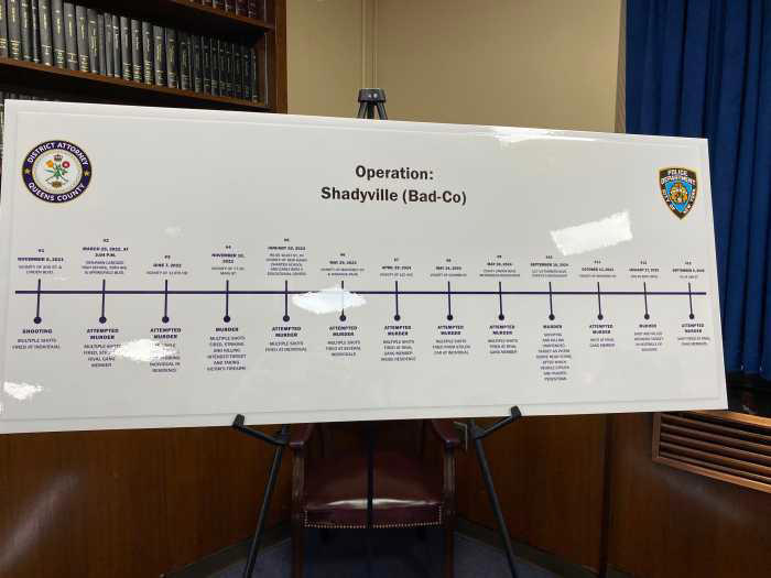 ‘Shadyville’ crackdown: 32 alleged gang members face murder, conspiracy ...