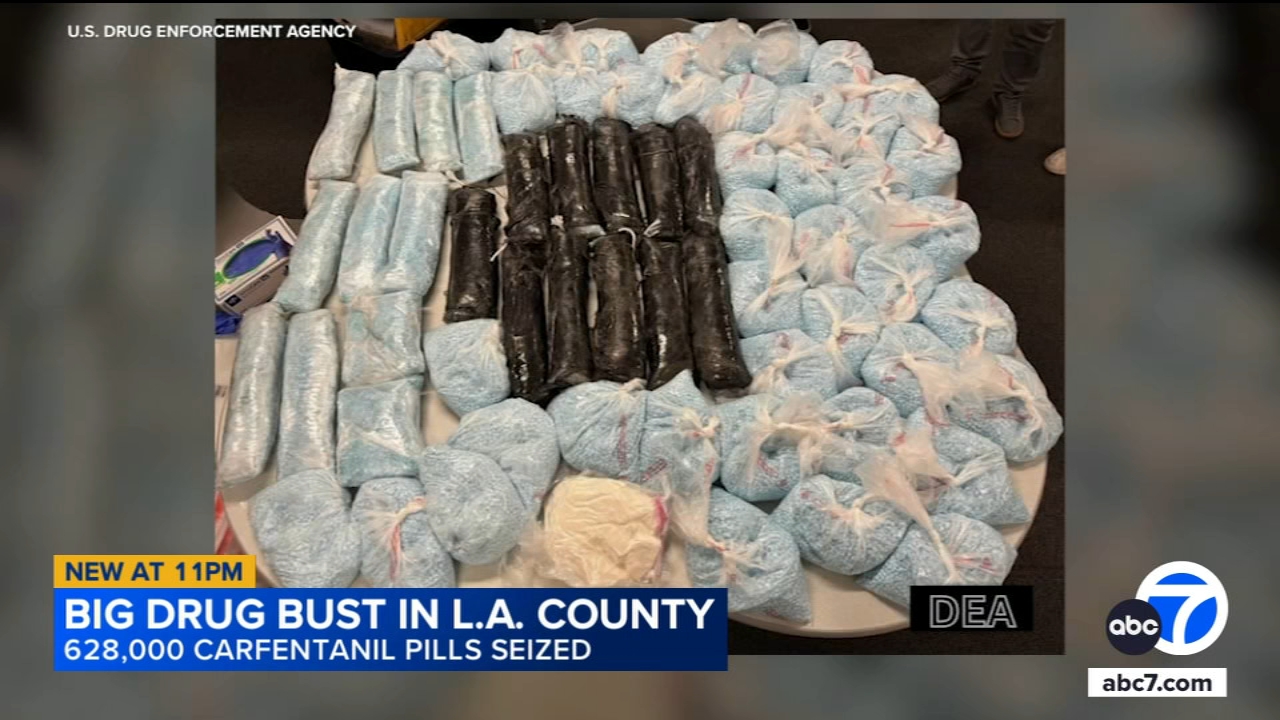628,000 carfentanil pills, powerful drug used on elephants, seized in ...