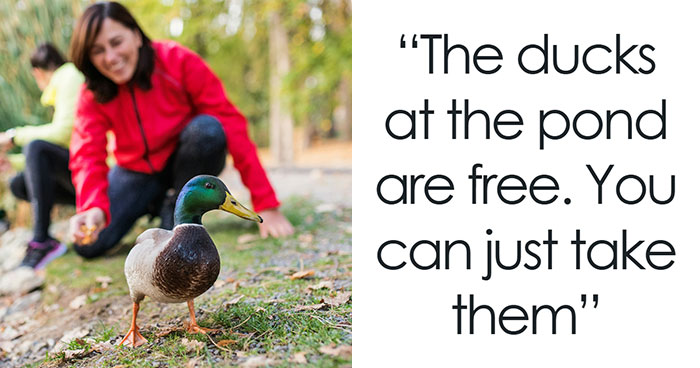 People Share 36 Facts That Completely Changed How They Think About ...