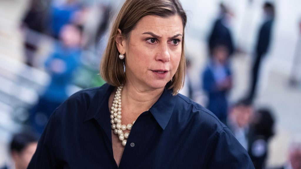 Slotkin dismisses Trump's "seditious behavior" allegations: "I refuse ...