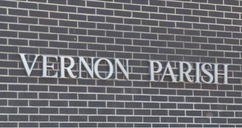 Vernon Parish school performance scores revealed for 2024-2025