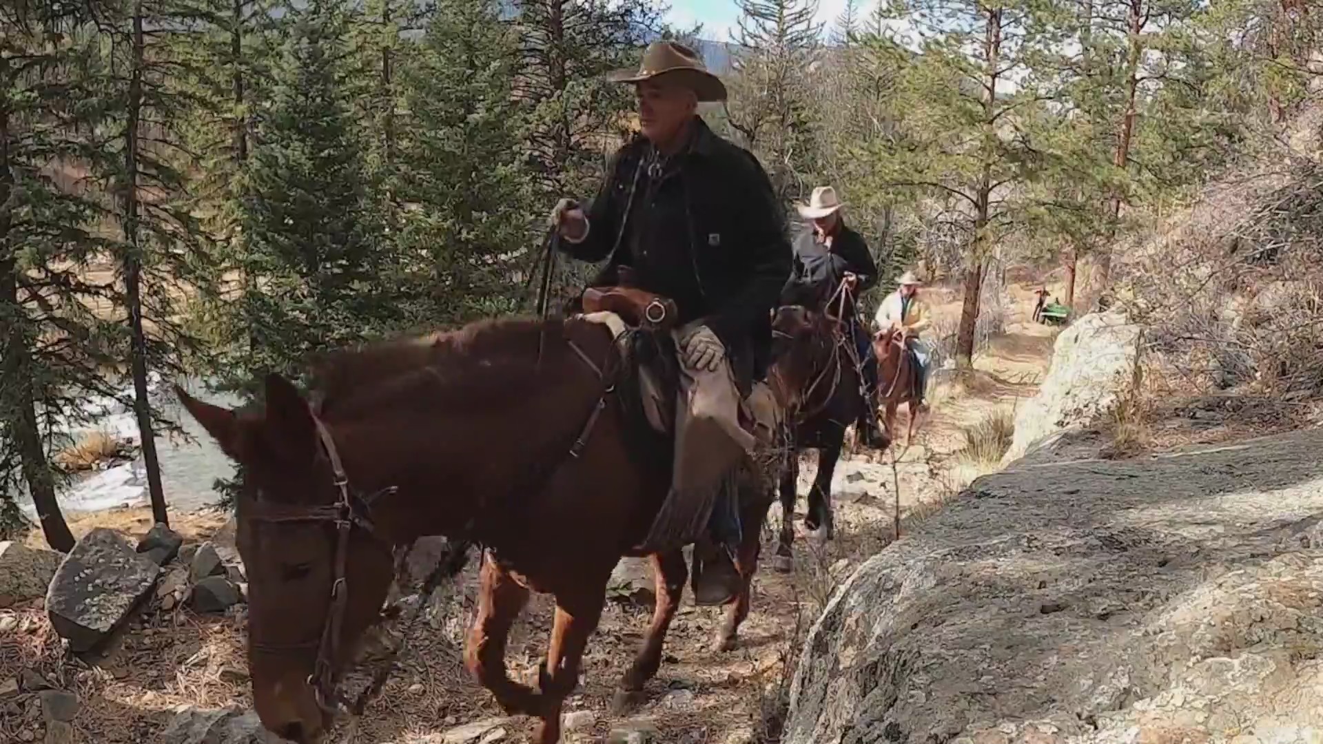 Club celebrates hobby of raising, riding mules in Colorado