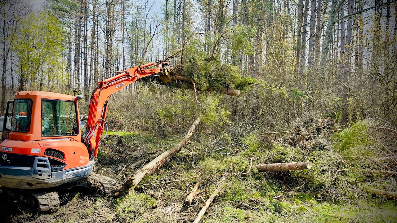 Kubota mini excavator expands woodyard storage area