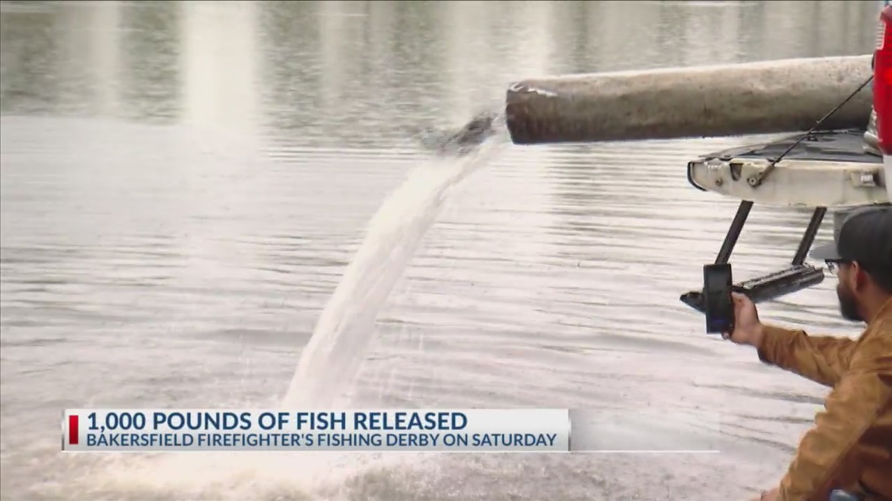Thousand pounds of fish released for Bakersfield firefighter's fishing ...