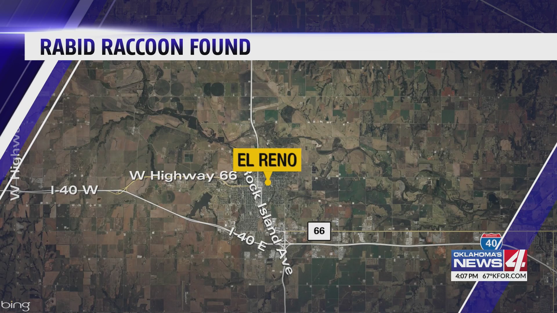 Rabies alert issued for El Reno after raccoon tests positive for virus
