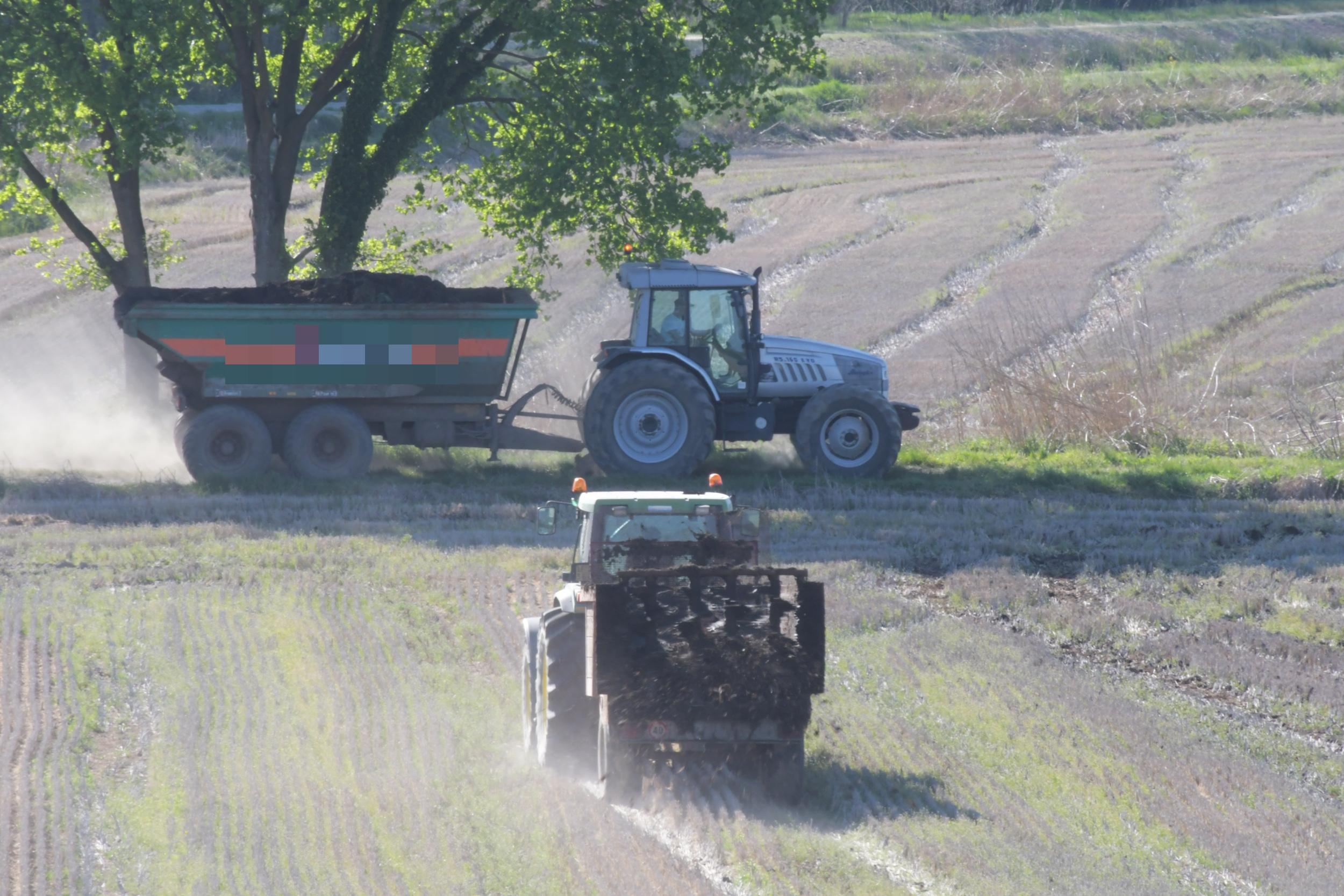 Boom di over 55 al lavoro nei campi: hanno perso il posto o sono stranieri