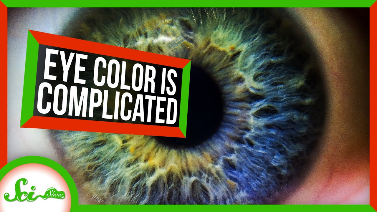 We found a bunch of new eye color genes | SciShow News