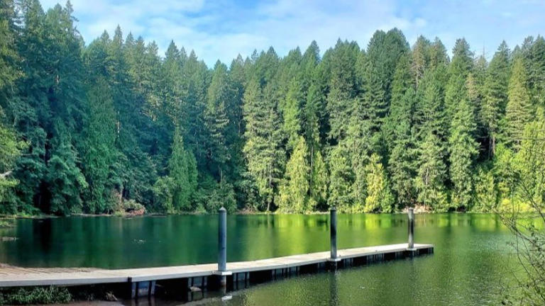 Discover Pass sales drop following Washington’s $15 annual fee increase