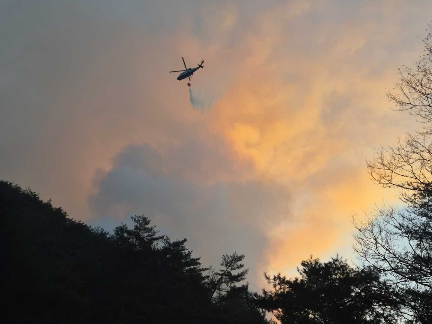 Inje Wildfire Extinguished After 17 Hours, 36 Hectares Damaged