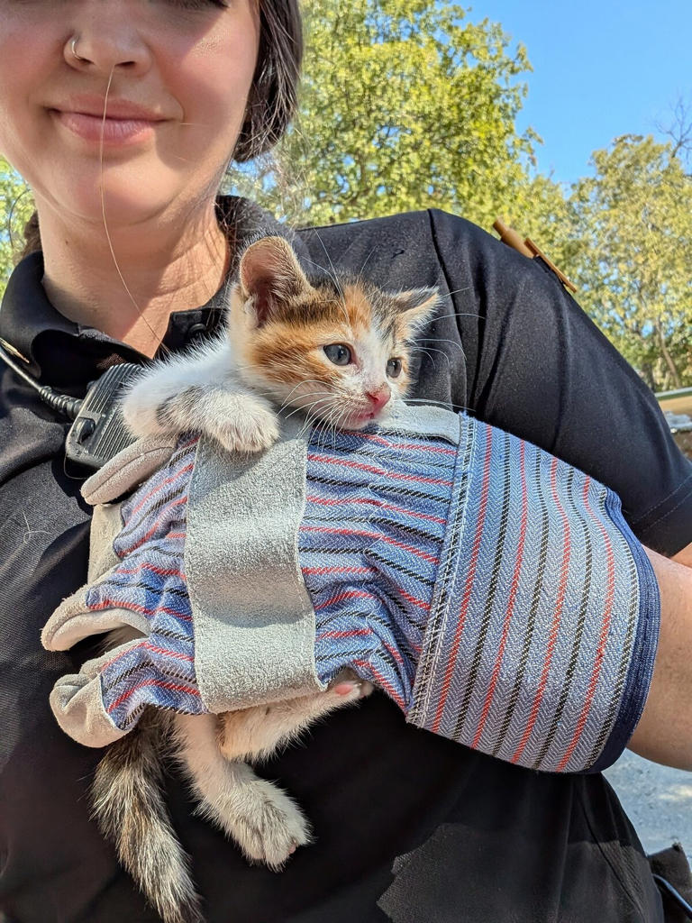 Note Written By Elementary Schoolers Leads Rescuer To Baby Stuck In ...