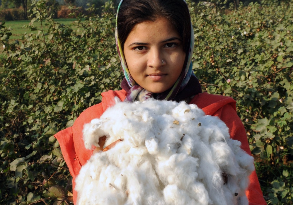 Can India's Cotton Industry Fix Its Child Labor Problem?
