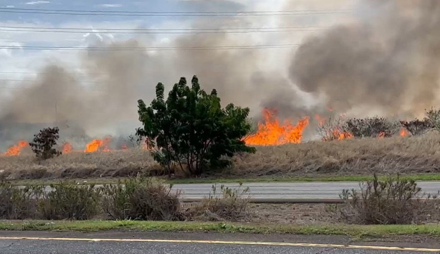 HFD battles brush fires in Kunia, suspect arrested