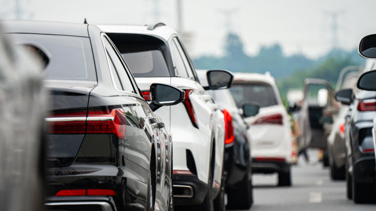 Border Patrol using predictive intelligence program to track Americans ...