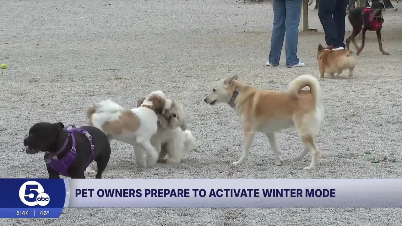 Winter weather pet safety: important tips for extreme cold and snow