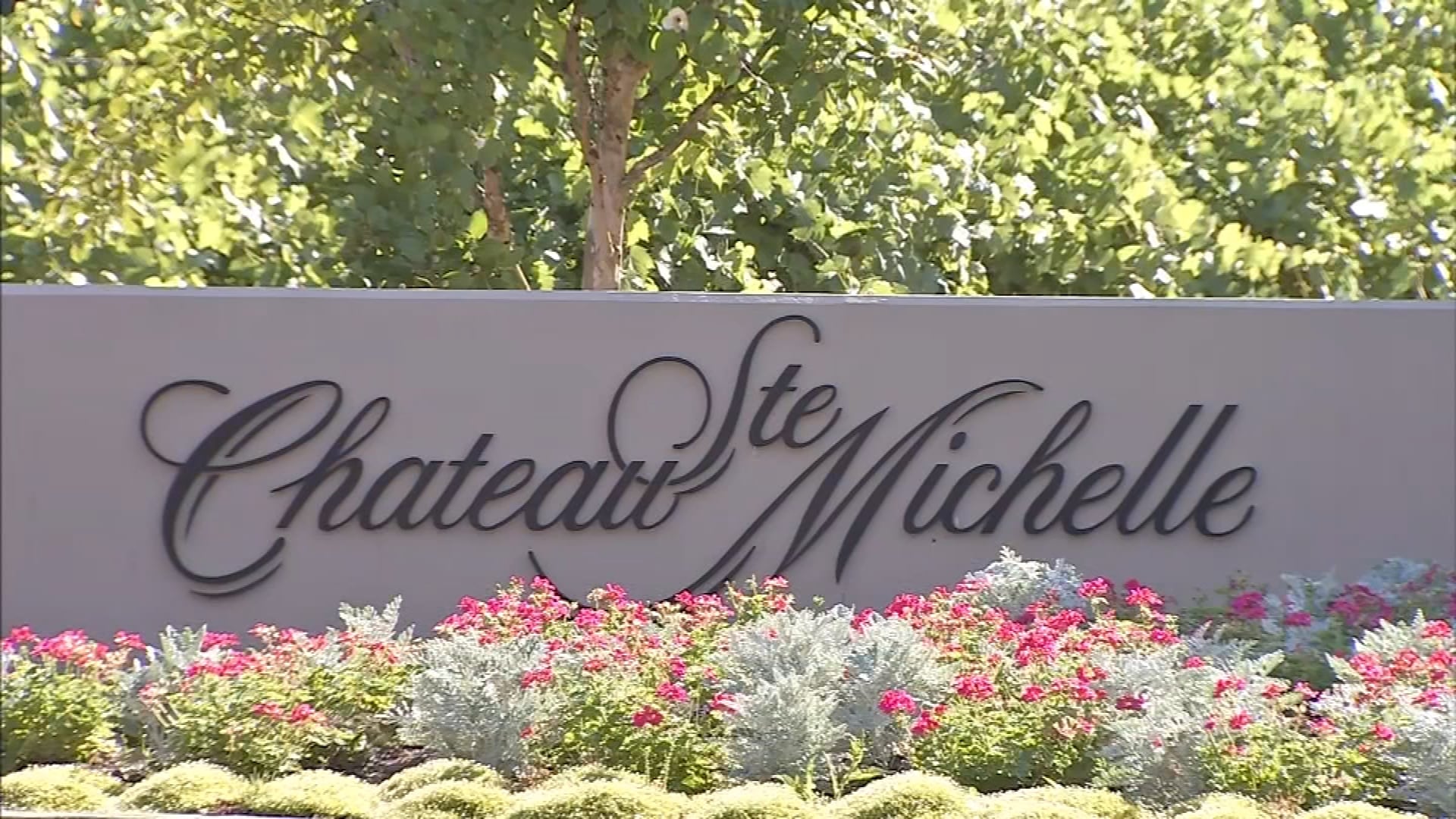 Chateau Ste. Michelle releases 2026 summer concert series lineup
