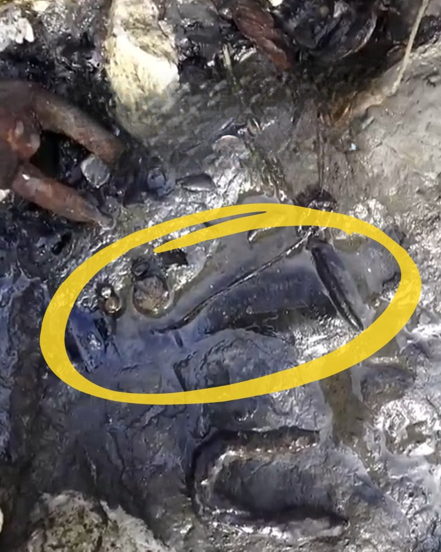 My Best Thames Find Yet – Can You Believe It?!