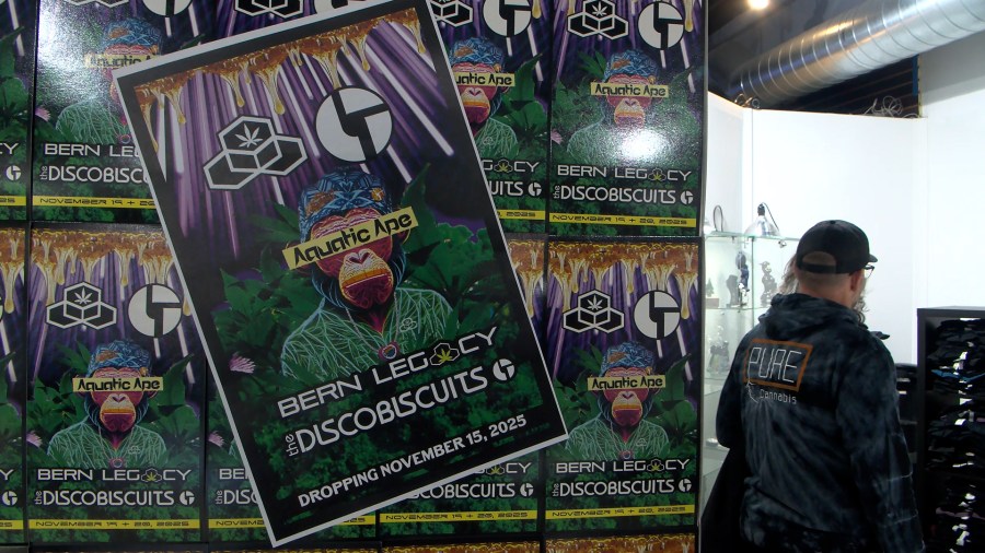 Disco Biscuits and Bern gallery create collab