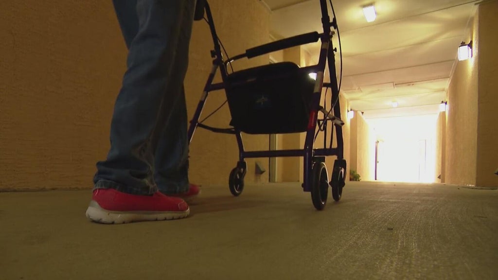 City of Dallas launches investigation as elderly and disabled seniors ...