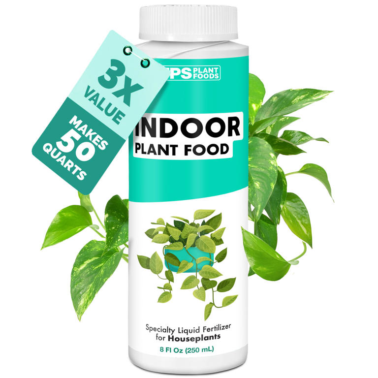 How to care for pothos plants the right way, according to experts