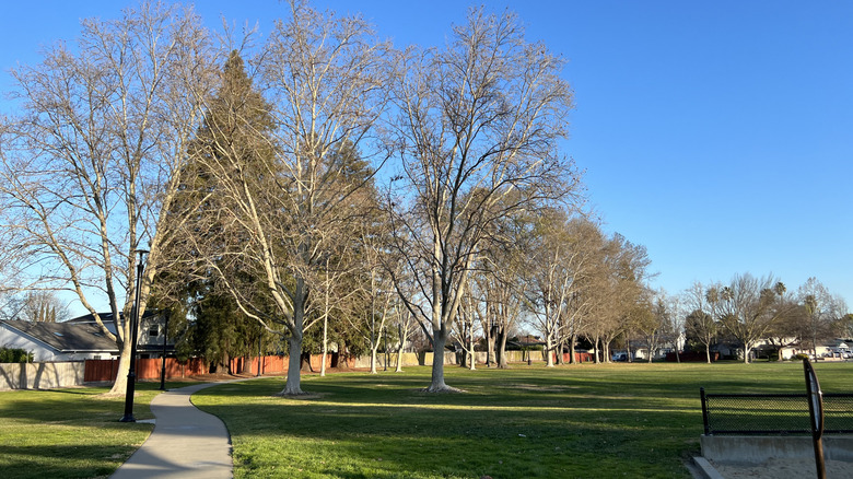 California's Cleanest City Is This Pleasantly Named San Francisco ...