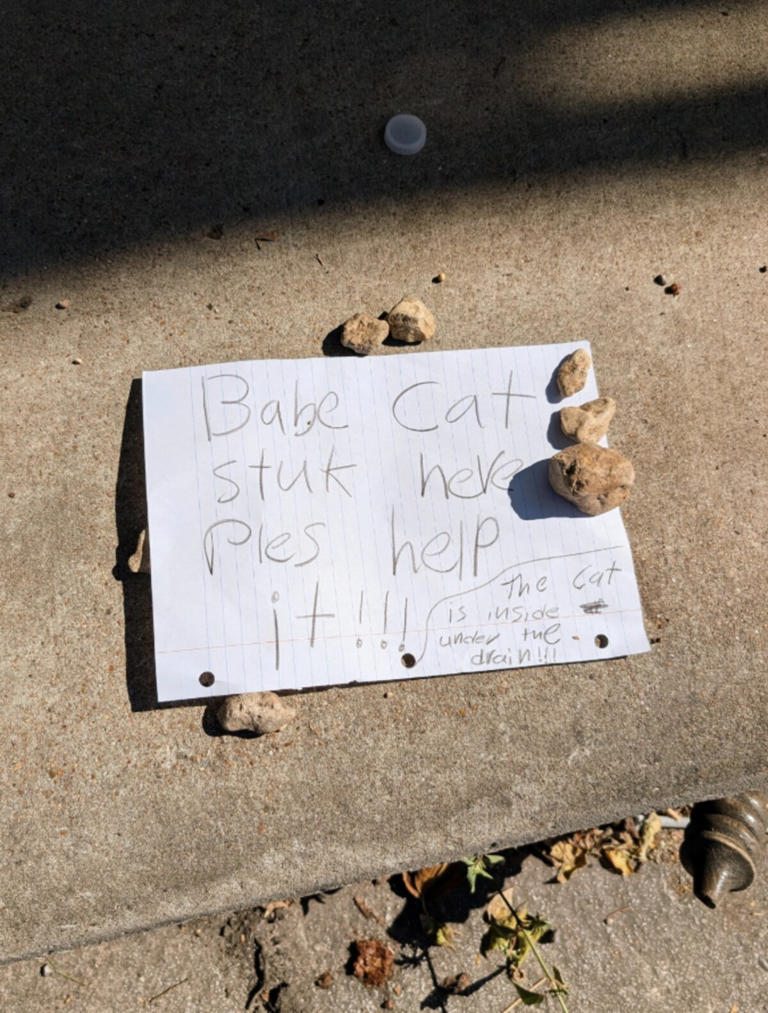 Note Written By Elementary Schoolers Leads Rescuer To Baby Stuck In ...