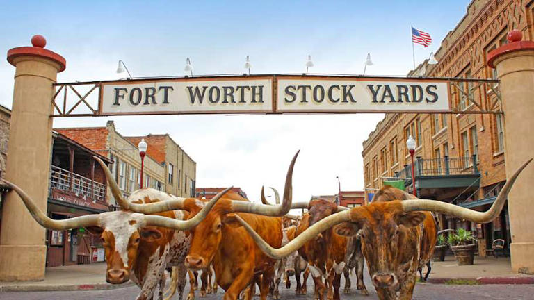 Southern Hospitality Awaits in Fort Worth: Your Official Travel Guide ...