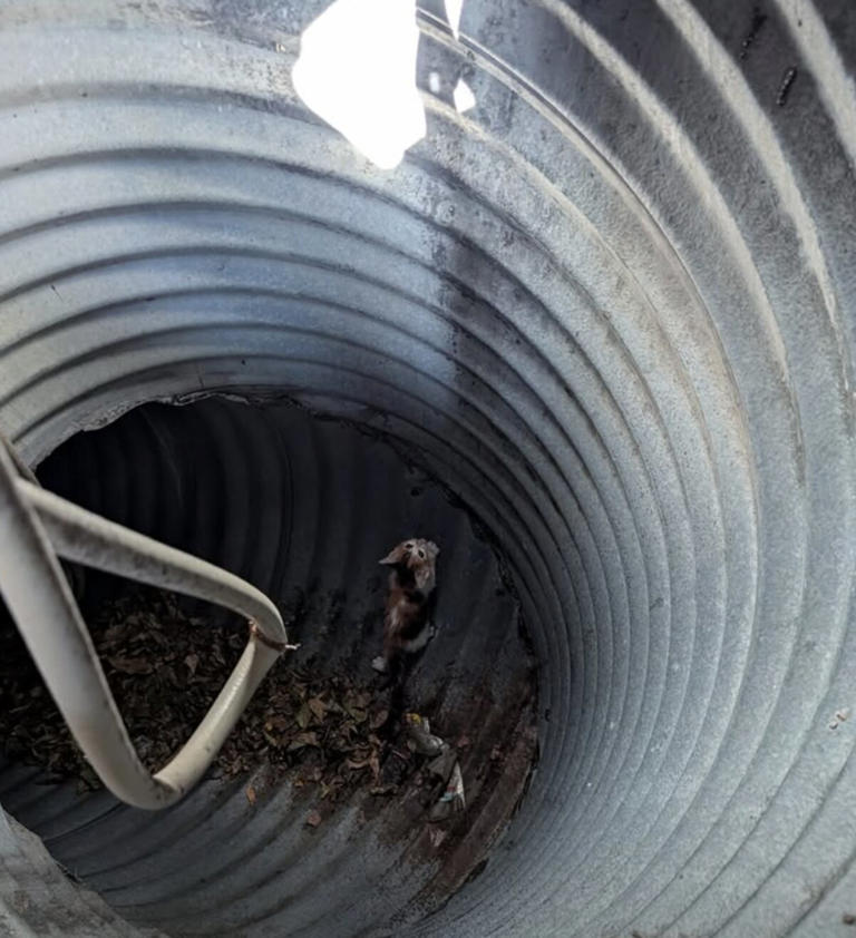 Note Written By Elementary Schoolers Leads Rescuer To Baby Stuck In ...