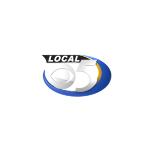 ‘Murder hornets’ eradicated from United States