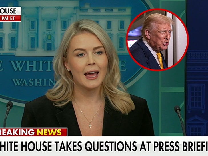 Karoline Leavitt Says President Trump Was Just Being Honest Calling ...