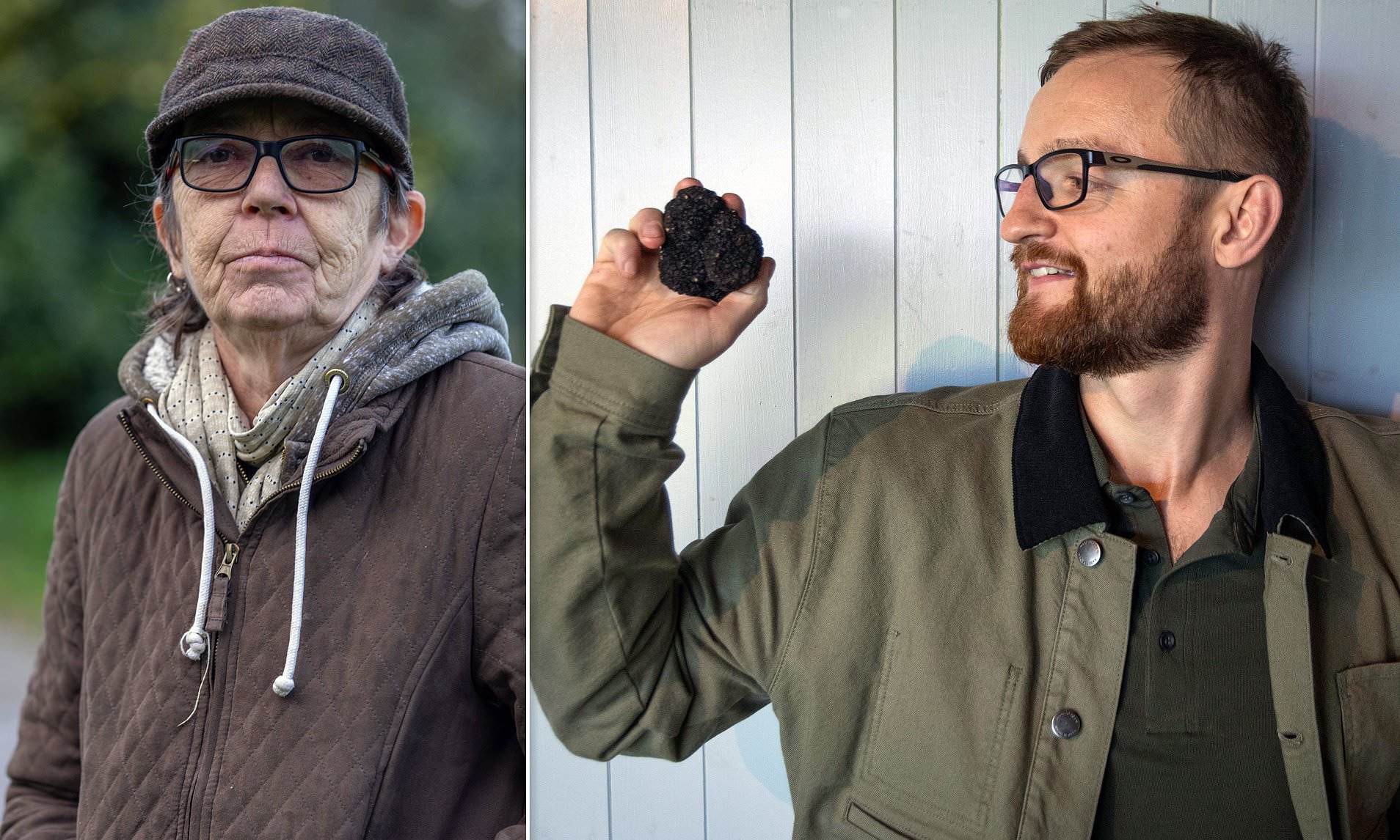 What a truffle kerfuffle! Foragers in feud over secret dig sites and ...