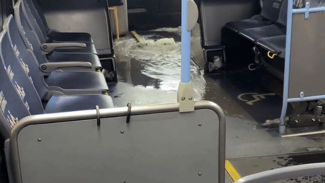 Floodwater Pours Into Bus as Torrential Rain Hits Las Vegas Metro Area
