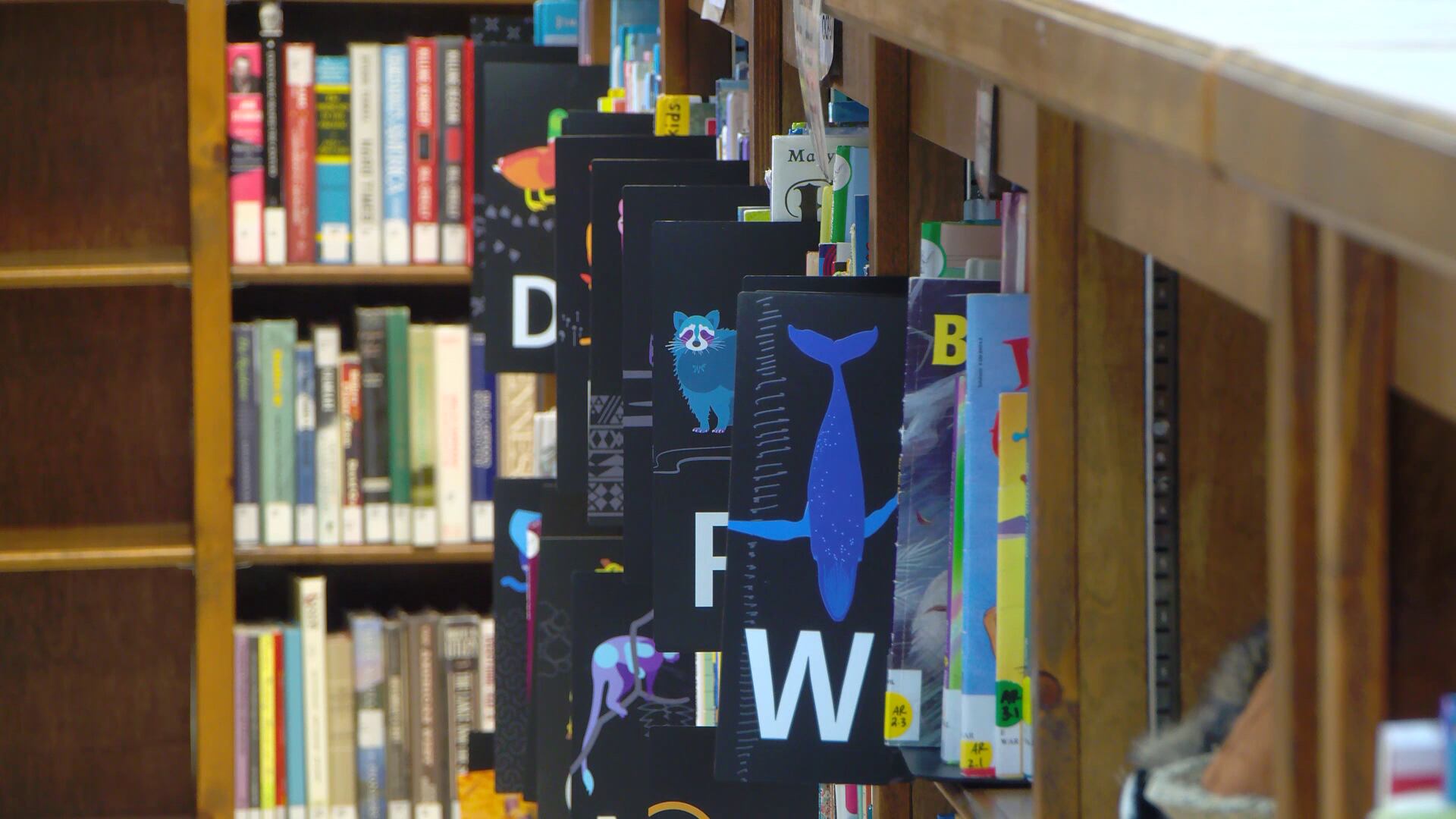 Tennessee orders libraries to review children’s books for material ...