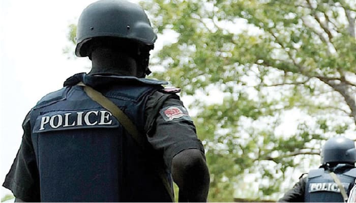 Police arrest three over rustled cattle recovered in Lagos, Oyo