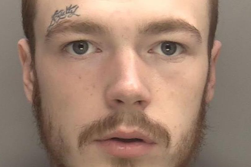 'Prolific' car thief stole £240k-worth of vehicles in six months