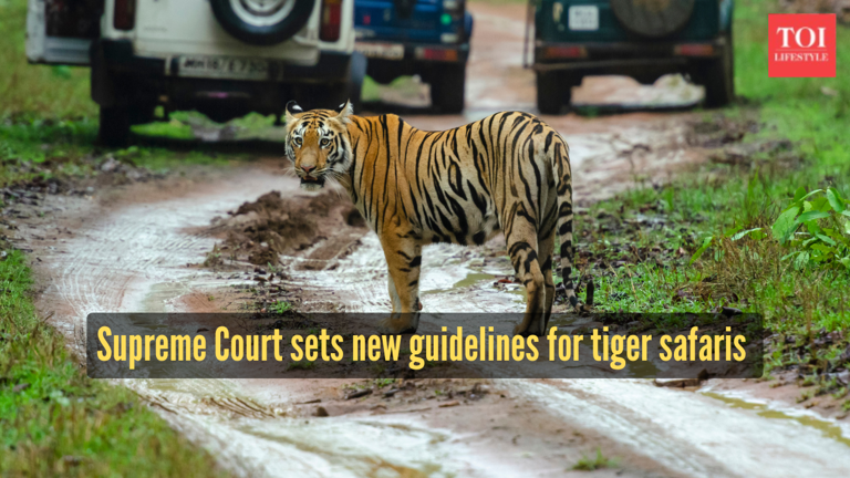 No tiger safaris in core habitats, no night tourism: Supreme Court ...