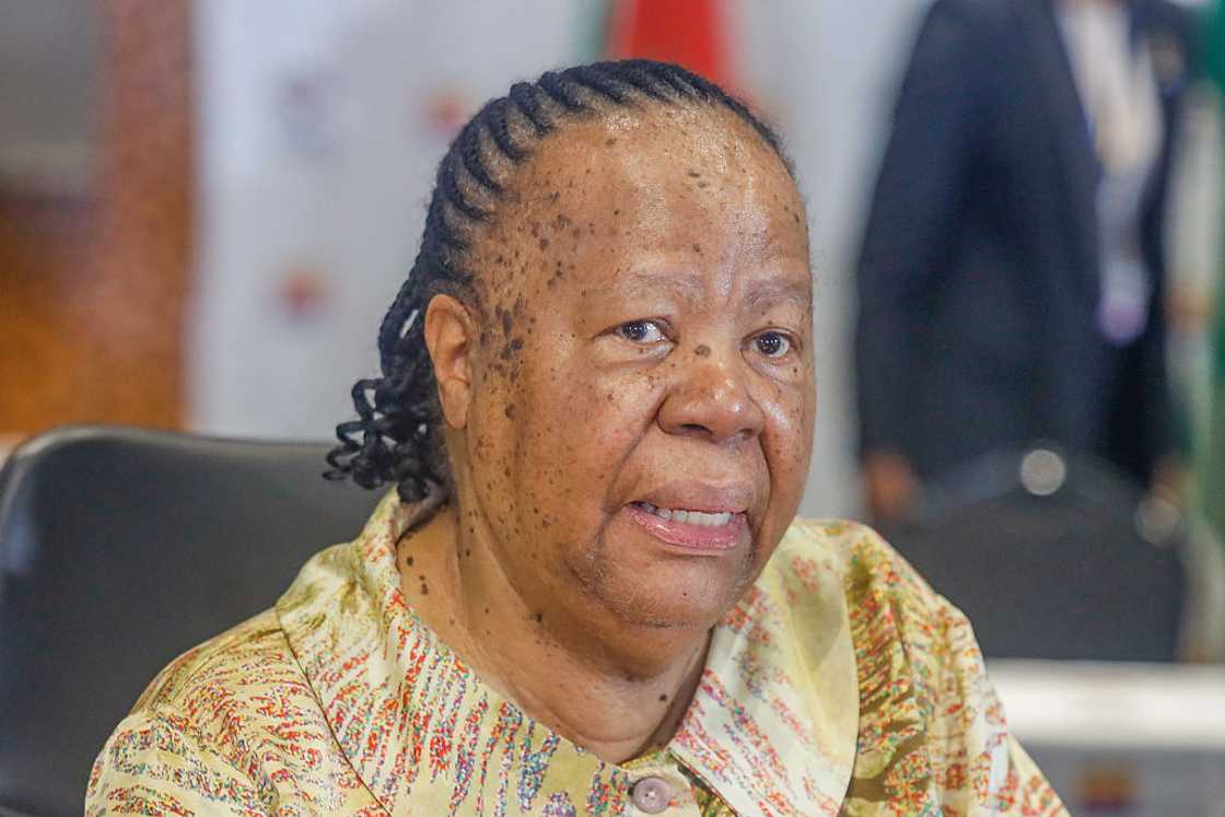 Naledi Pandor weighs in after USA revokes her visa