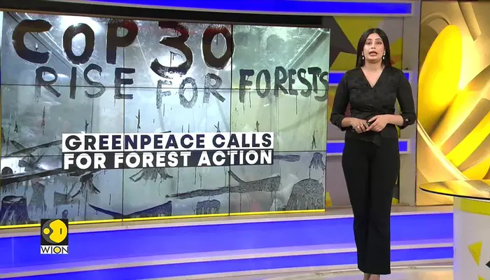 Brazilian Artist Mundano Uses Ashes from Forest Fires to Call for ...