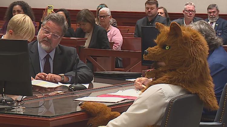 Classroom court puts Big Bad Wolf in the hot seat