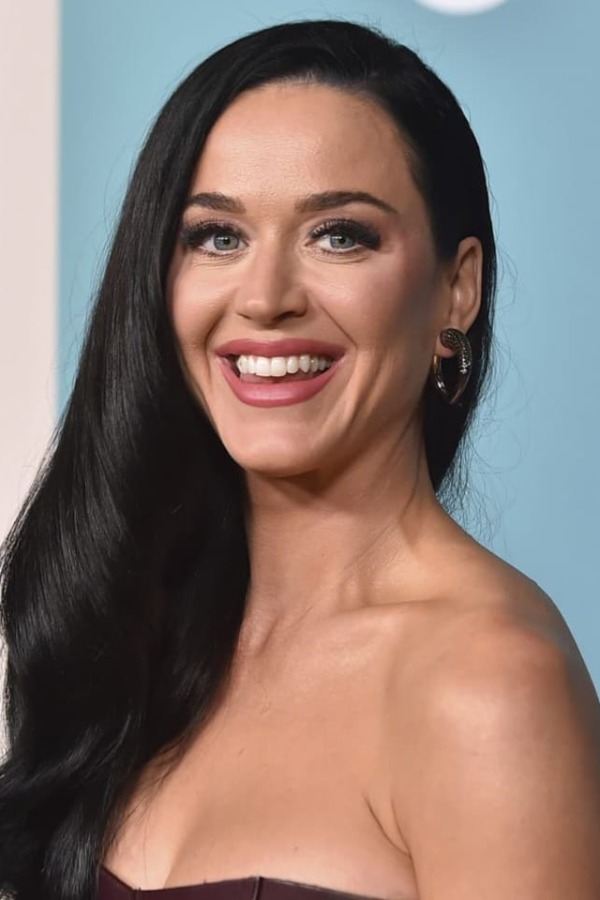Why is Katy Perry suing an 85-year-old disabled war veteran? $15M ...